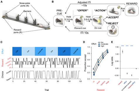 Multi Level Encoding Of Reward Effort And Choice Across The Frontal