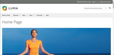 Solutions Guide To Magento 244 Upgrading Problems