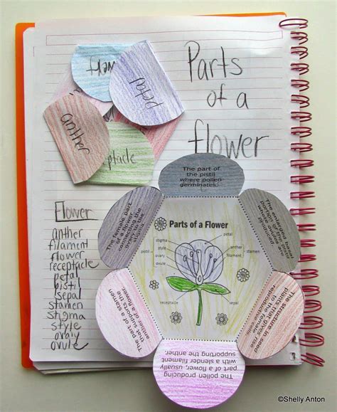 Should You Use Interactive Notebooks In Your Classroom Artofit