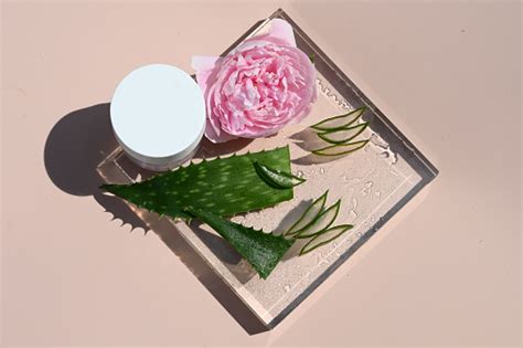 스타일이 지정된 아름다움 구성 피부 크림 항아리 모란 꽃 유리 연단에 알로에 베라 잎 유기농 화장품 스파 개념 개념에 대한 스톡 사진 및 기타 이미지 Istock