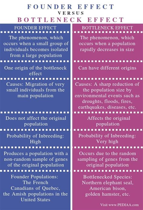 What Is The Difference Between Founder Effect And Bottleneck Effect