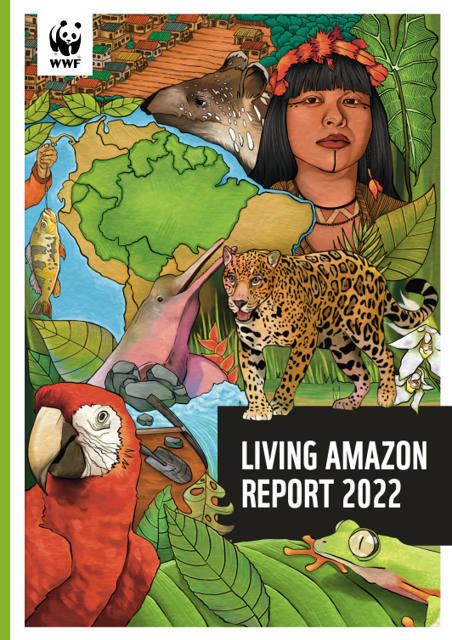 Teach About The Rainforest With These Free Down