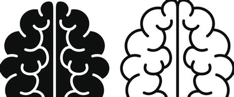 Best Nootropic Choline Source Citicoline Vs Alpha Gpc