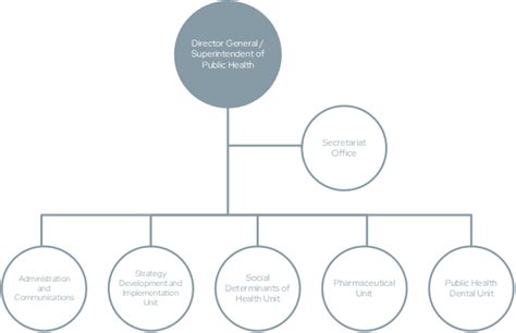 Structure The Department