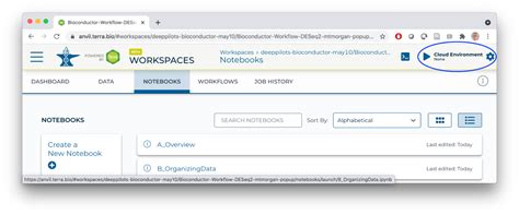 Running A Workflow Anvil Portal