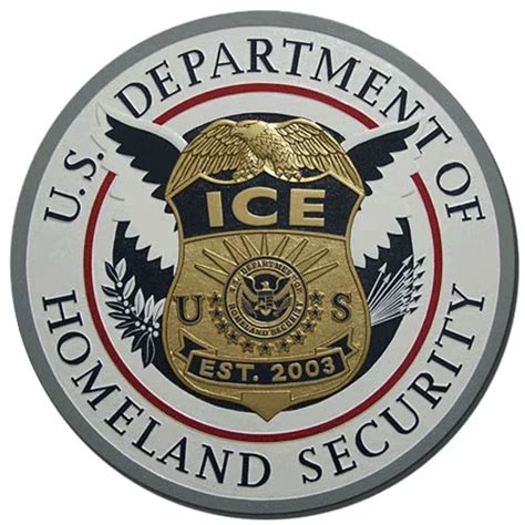 Dhs Ice Logo