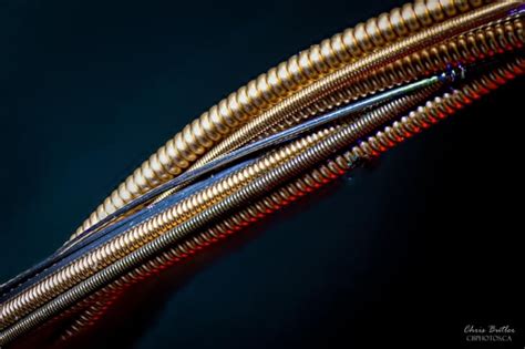 roll macros for variable dice in dice pool custom system builder r foundryvtt