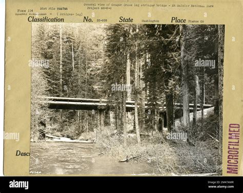 Cougar Creek Log Stringer Bridge Mt Rainier National Park Original