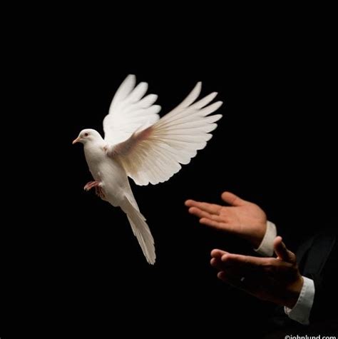 ဒီစိုး ရင်တွင်းစာစုများ