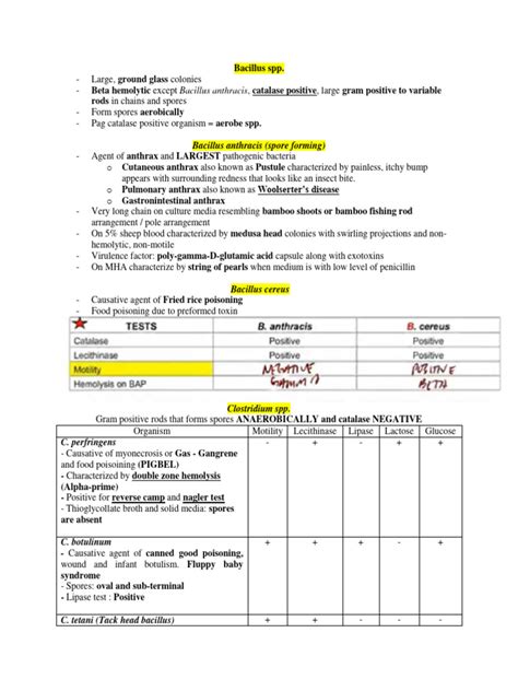 Micro Day 2 Part 1 Download Free Pdf Salmonella Pseudomonas Aeruginosa