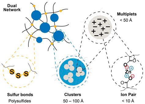 Understanding The Molecular Dynamics Of Dual Crosslinked Networks By