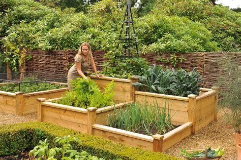 Raised Bed Vegetable Garden Kits At Daniel Manns Blog