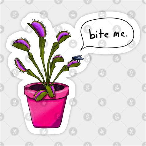 Bite Me Venus Flytrap Pink Bite Me Sticker Teepublic