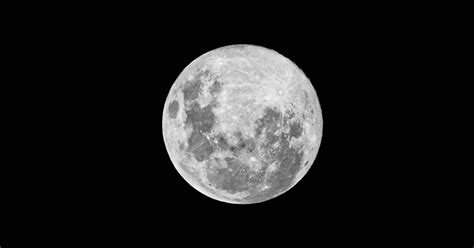‘luna De Lobo El Fenómeno Astronómico Que Se Podrá Apreciar En Colombia Este Jueves Infobae