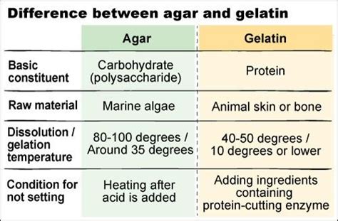 Agar Vs Gelatin When And How Can You Use Each One Iqqjpa