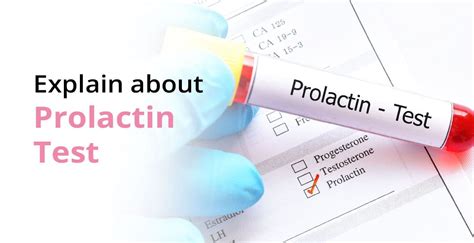 Prolactin Hormone Function