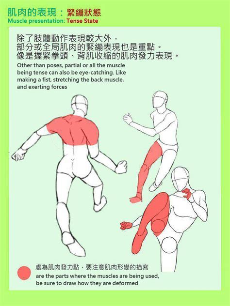 【攻略向】怎么提升动作张力必看的高级秘诀5p｜电绘狂教程第50回 哔哩哔哩