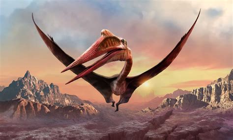What Were The Largest Flying Dinosaurs Imp World