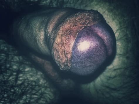 Cock Art And Og Dick Pics 48 Pics Xhamster