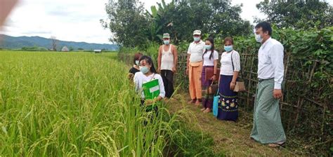 မိုင်းပန်မြို့နယ်တွင် ကျေးရွာမတည်ရန်ပုံငွေစီမံကိန်း Vrfp ဆောင်ရွက်နေမှု အခြေအနေအား ကွင်းဆင်းစစ