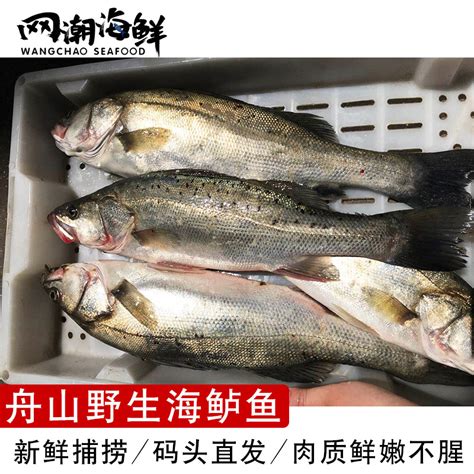 鲈鱼的拼音怎么拼写 鲈怎么读音读出来 牛杂的拼音怎么拼写 第10页 大山谷图库