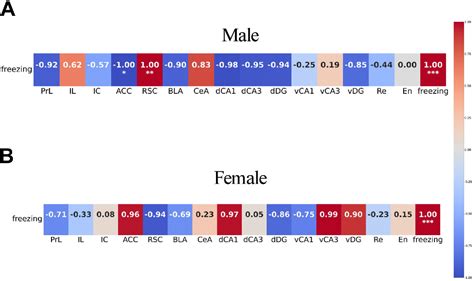 Figure 1 From The Sexually Divergent Cfos Activation Map Of Fear Extinction Semantic Scholar