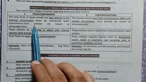 Osmoconformers And Osmoregulators Classification Of Animal Hindiurdu Youtube