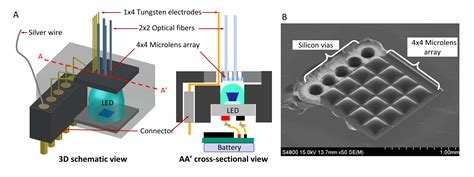 Optrode Array For Simultaneous Optogenetic Modulation And Electrical