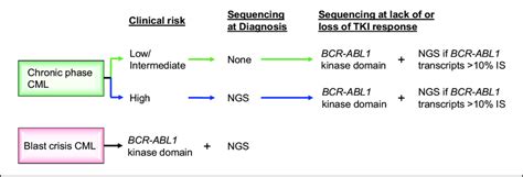 Potential Future Ngs Strategy Ongoing Ngs Analysis Of Patients With