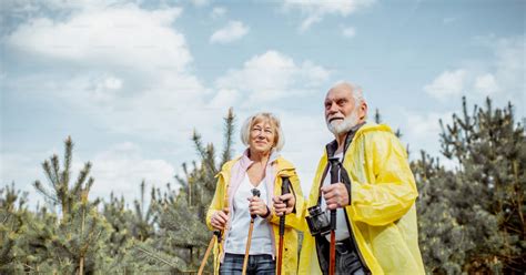 노란 비옷을 입은 행복한 노부부가 어린 소나무 숲에서 트레킹 스틱을 들고 하이킹을 하고 있다 은퇴에 대한 활동적인 생활 방식의 개념 사진 Unsplash의 바깥 이미지