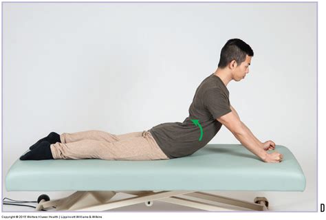 Back Extension Mckenzie Exercises Effect On Disc Fluid