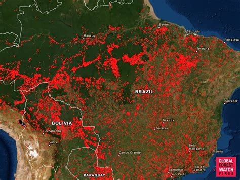 Amazon Deforestation Map