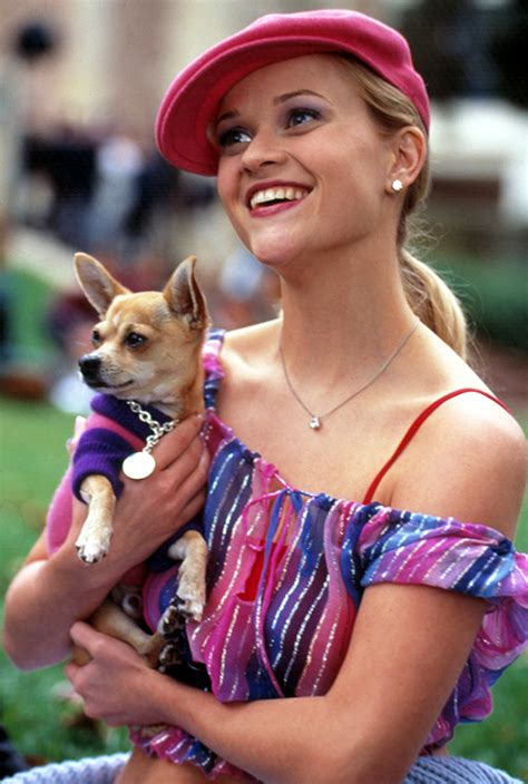 ‘legally Blonde 3 Details On The Cast Release Date And More