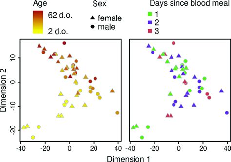 Gene Expression Clusters Primarily By Age Principal Component Analysis