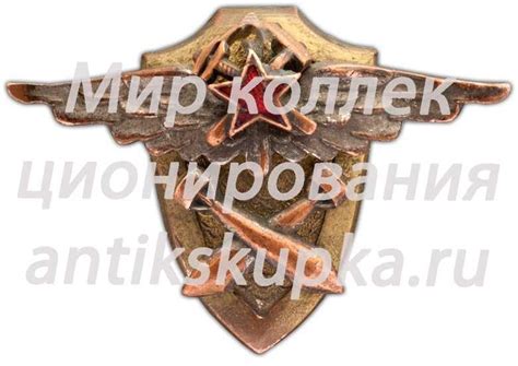 Знак «5 военно авиационная школа техников по вооружению Мир коллекционирования