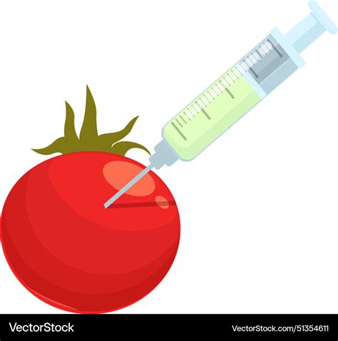 Genetically Modified Tomato Concept Royalty Free Vector