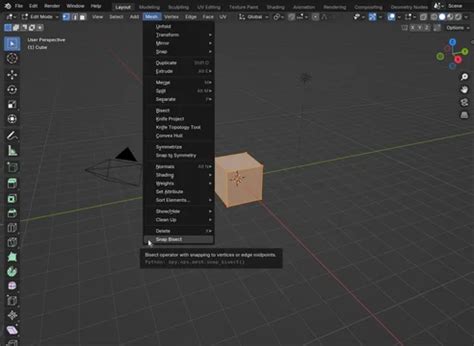 Snap Bisect Blender Extensions