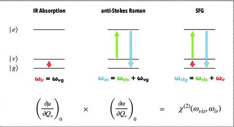Vibrational Spectroscopies Comparison Between The Three Techniques Of Download Scientific