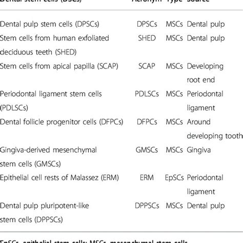 Permanent Dentition The Timing Of Tooth Initiation And Root Completion