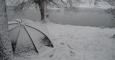 Unlocking the Secrets of Winter Session Carp Rigs - Cally's Carpy Customs