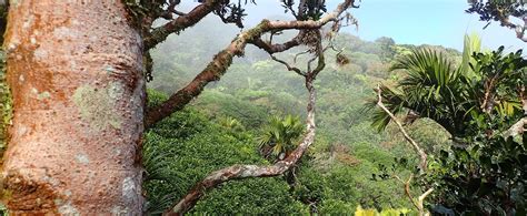 Iucn Global Ecosystem Typology Closes Major Gap In Our Ability To Measure The State Of Nature