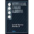 Numerical Linear Algebra Lloyd N Trefethen David Bau III 8581000033141 Amazon Com Books