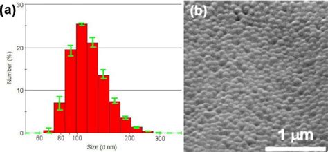 A Fep Particle Size Distribution Statistics Graph And B A
