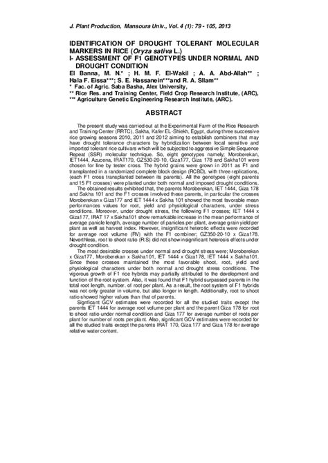 Identification Of Drought Tolerant Molecular Markers In Rice Oryza