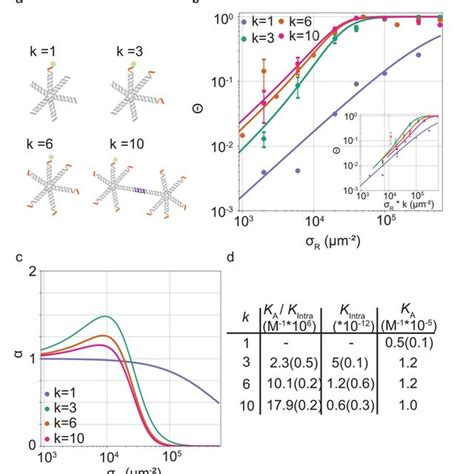 Optimality In Binding Strength Of Dna Nanostar Surface Binding A