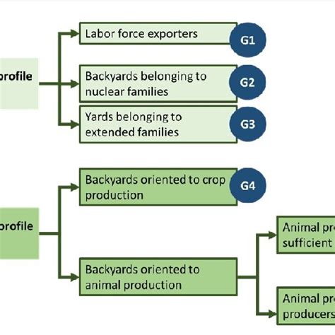 Backyard Classification Organization Chart In La Concordia Based On