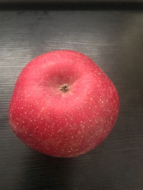 最甜的苹果 苹果 第7页 大山谷图库