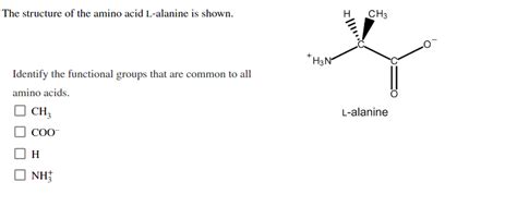 Solved The Structure Of The Amino Acid L Alanine Is