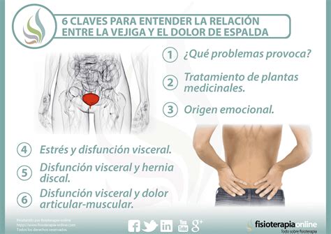 6 Claves Para Entender La Relación Entre La Vejiga Y El Dolor De