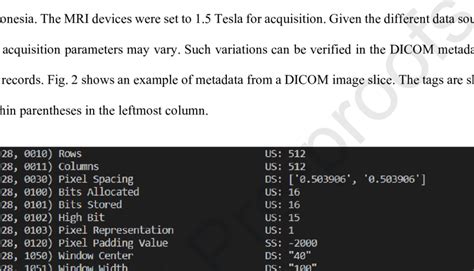 Dicom Image Slice Metadata Download Scientific Diagram
